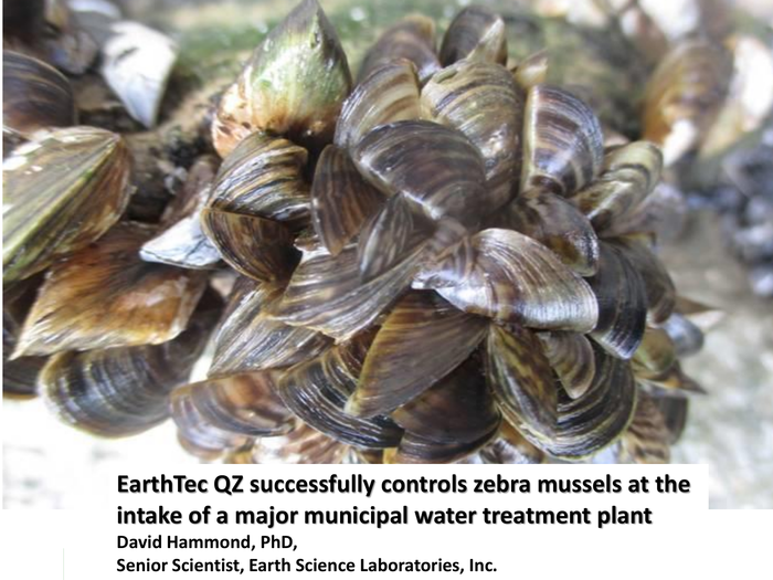 thumbnail-1 - EarthTec